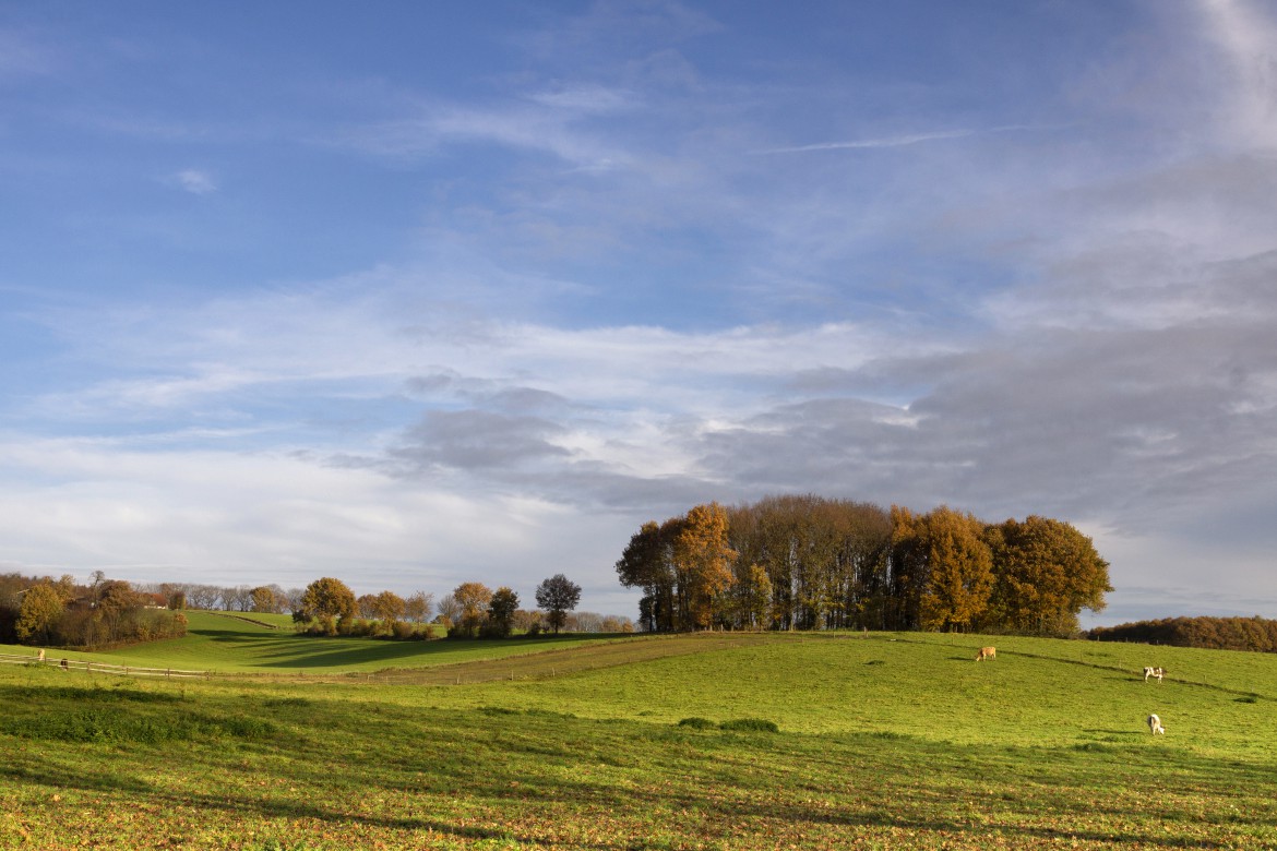 Groesbeek een verrassend mooi dorp | De Landerije Makelaars en adviseurs